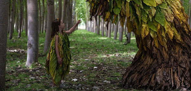 ‘Secaderos’, la historia mágica de Rocío Mesa - Cine y Tele